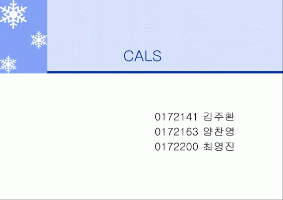 [논문] CALS(Commerce At Light Speed)