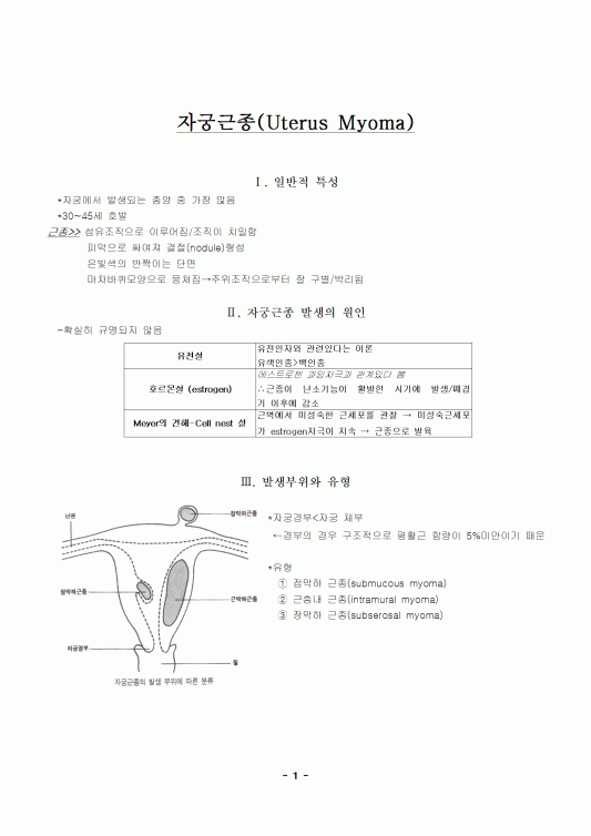자궁근종 uterus myoma