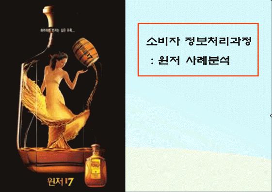 윈저 사례분석 - 티저광고를 통한 소비자 정보처리과정 -