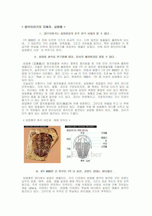 삼엽충에 대하여