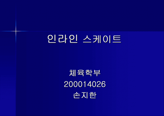 인라인 스케이트