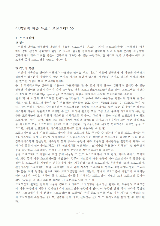 프로그래머 레포트 자료