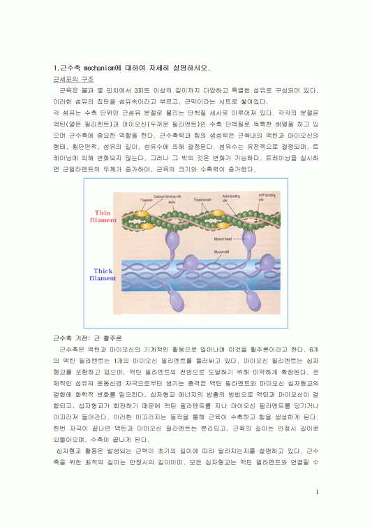 근수축기전과 유산소 운동 측정방법