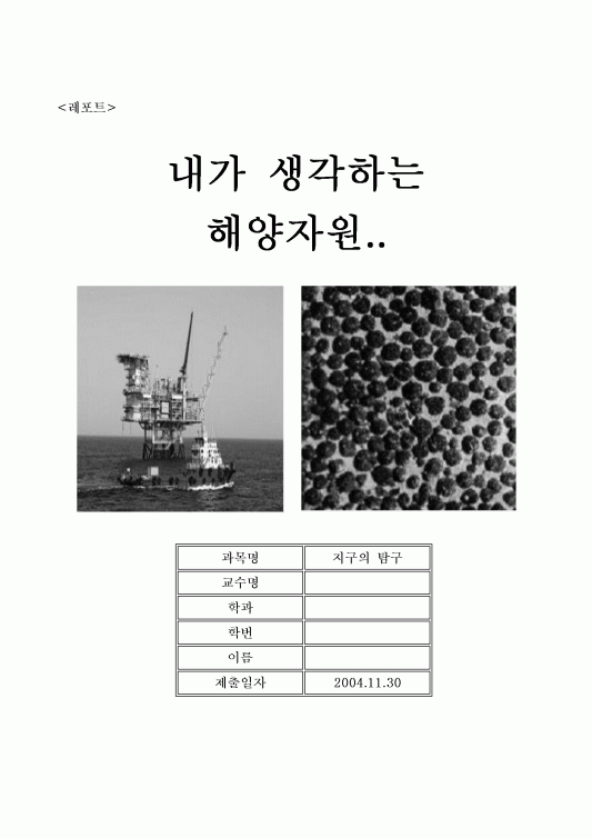 내가 생각하는 해양자원