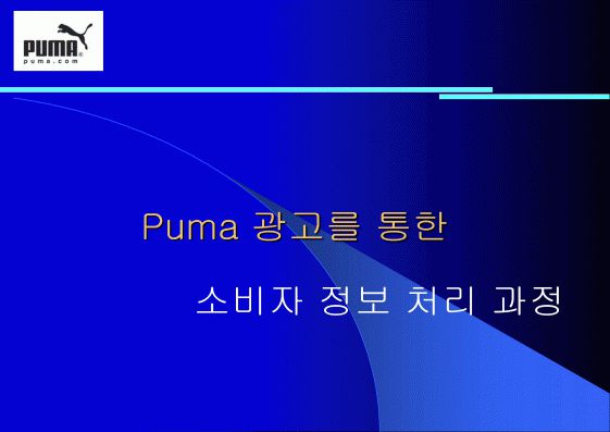 Puma 광고를 통한  소비자 정보 처리 과정