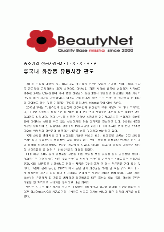 미샤 성공사례- (중소기업 성공사례)