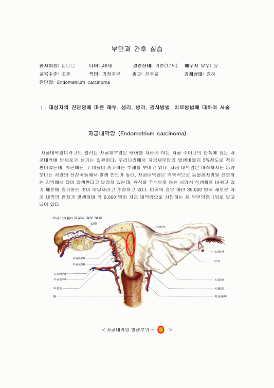 모성간호학실습보고서