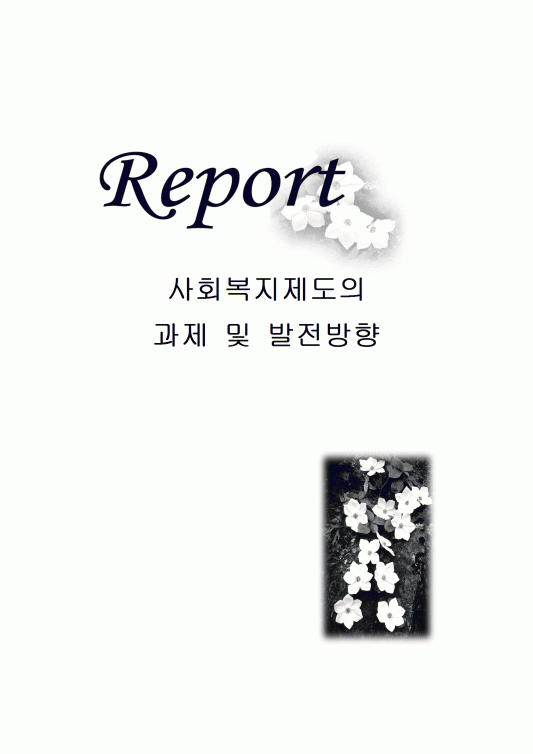 사회복지제도의  과제 및 발전방향