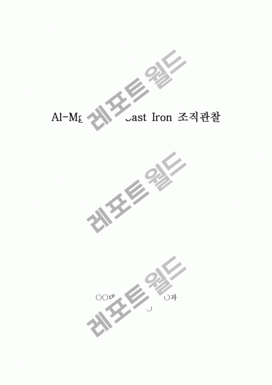 미세 조직 관찰 (al-mg alloy, cast iron)