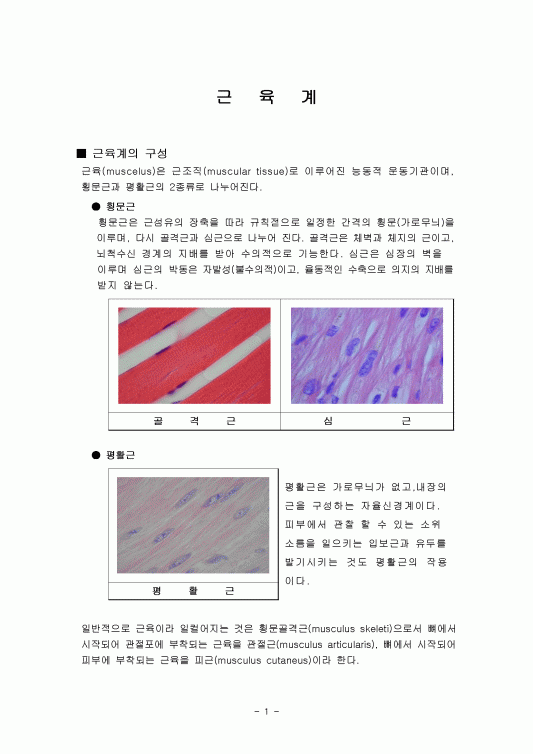근육계의 구성과 질환