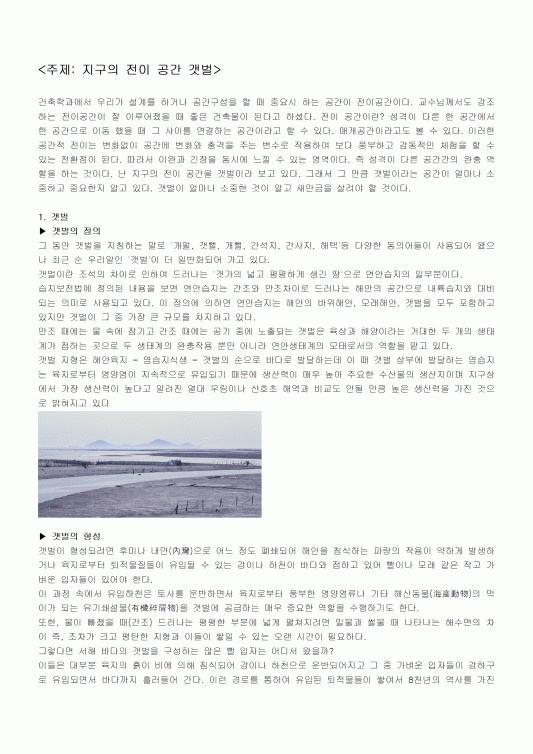 지구의 전이 공간 갯벌