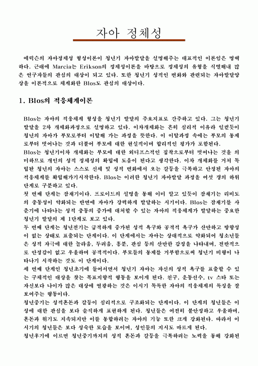 자아 정체성 발달이론