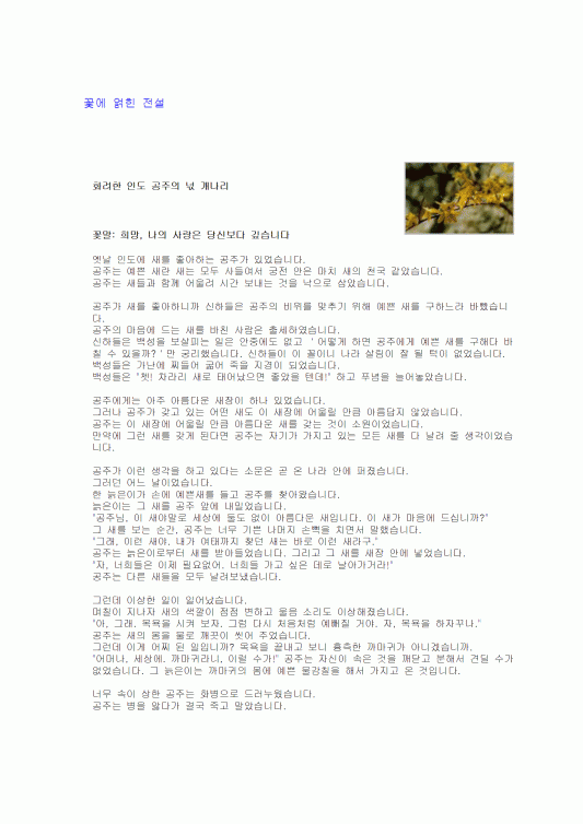 식물 꽃의 전설