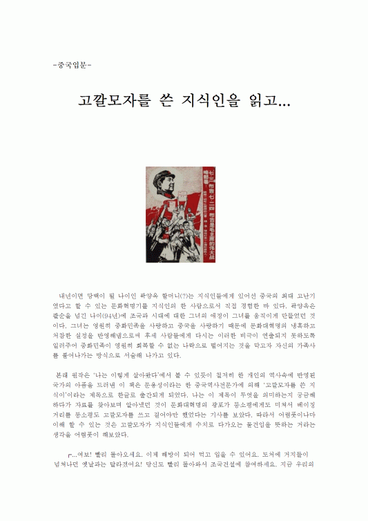 고깔모자를 쓴 지식인