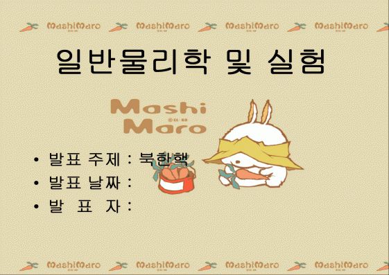 북한 핵개발 북한 핵의 교훈과 우리의 대응