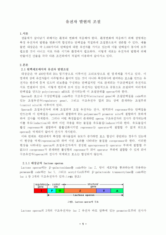 유전자발현의 조절