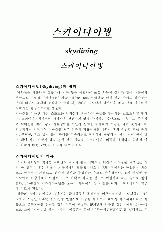 스카이 다이빙