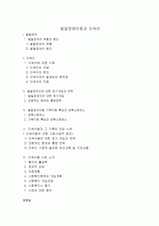 발달장애와 미숙아에 대한 사회복지적 대책과 사례