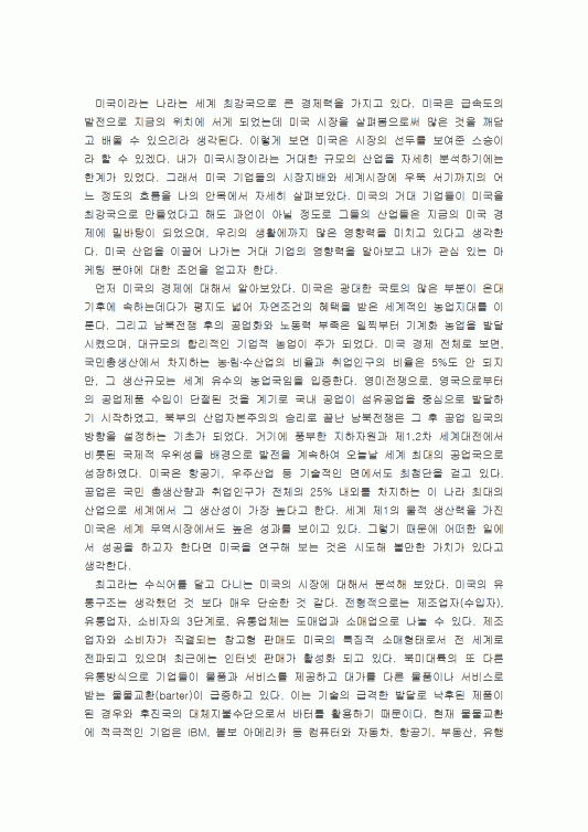 미국 기업들의 마케팅 전략
