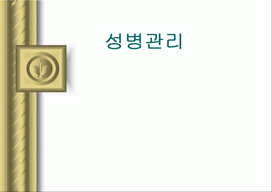 성병관리 레포트 자료