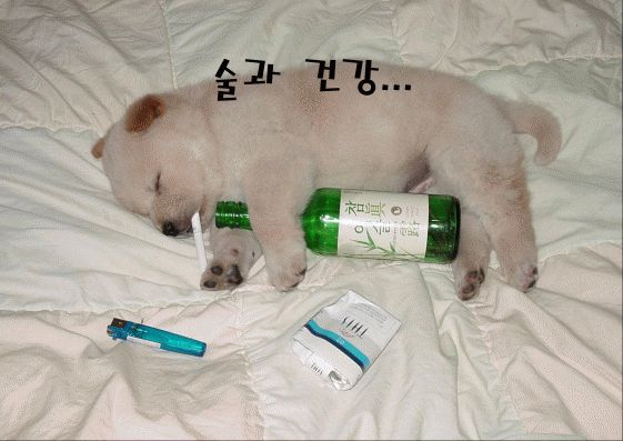 [생활과 건강] 술과 건강