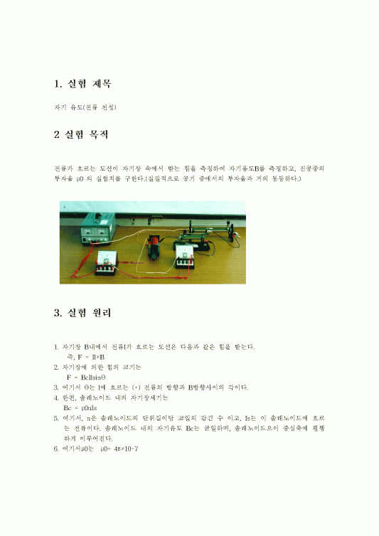 자기유도 예비리포트