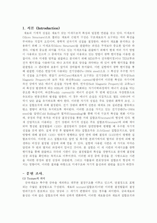 전기강판 미세 조직 관찰