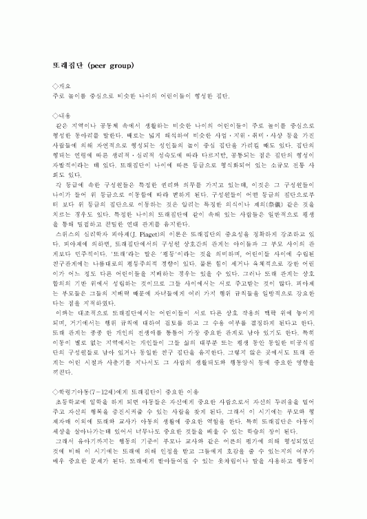 또래집단 레포트 자료