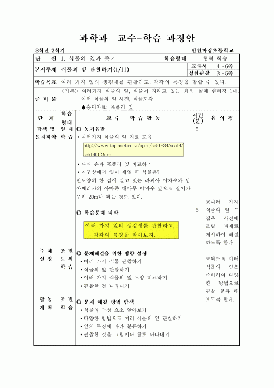 과학과  교수-학습 과정안(식물의 잎 관찰하기)