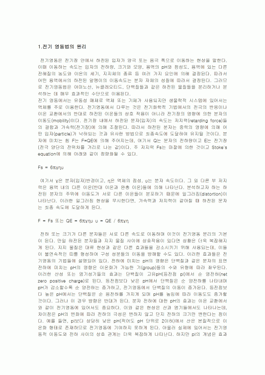 전기영동법에 대해서