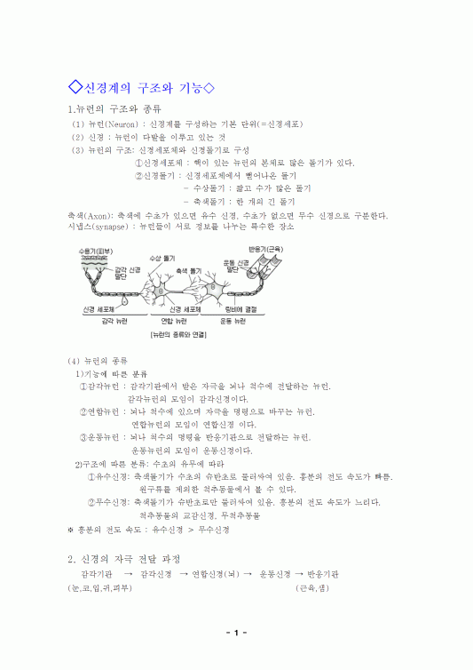 신경계의 구성과 기능
