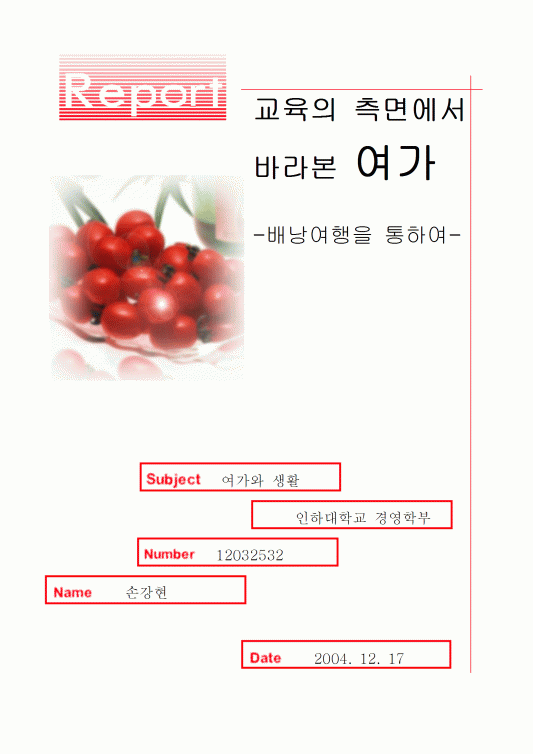 여가의 교육적 측면(배낭여행을 통해)