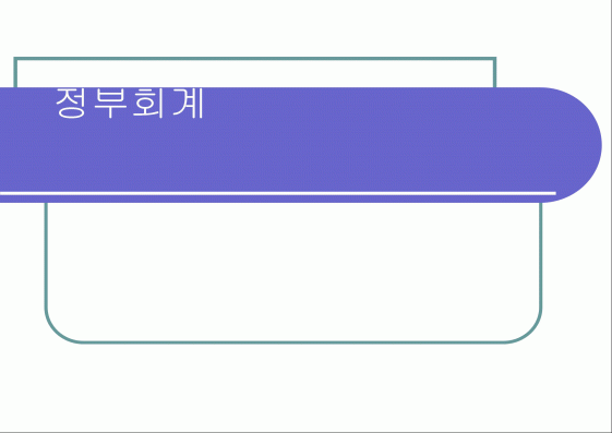 정부회계 레포트 자료