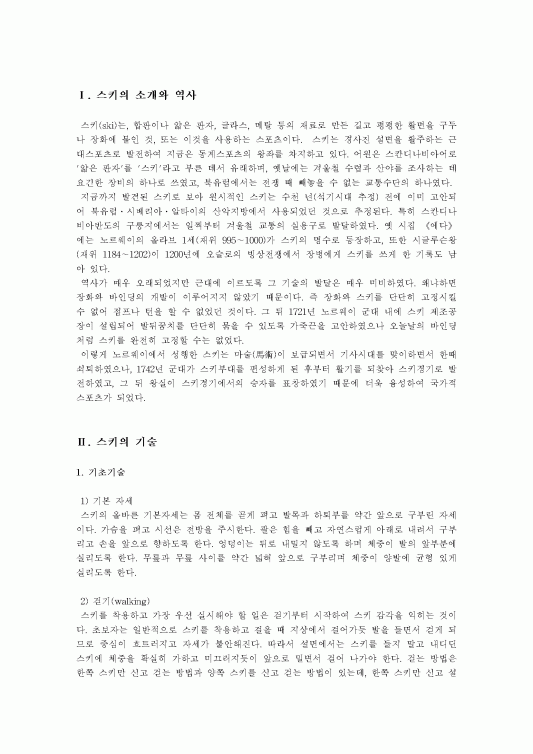 스키의 일반적 기술