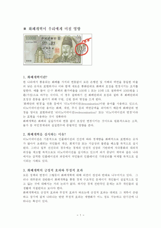 화폐개혁 레포트 자료