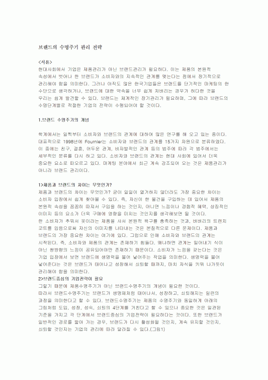 브랜드 수명주기 관리 전략