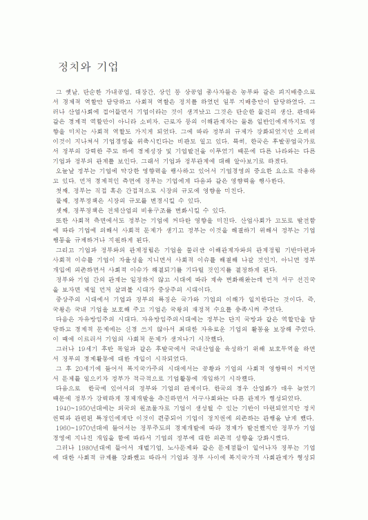 정치와 기업 레포트 자료
