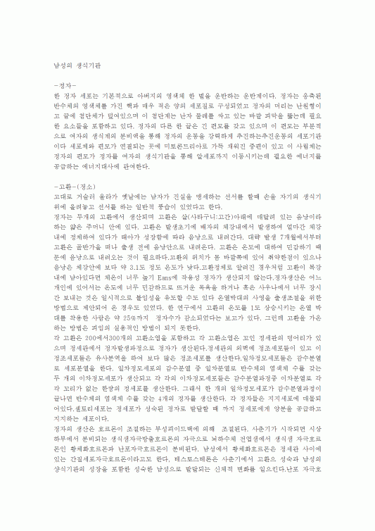 남성과 여성의 생식기관 정리