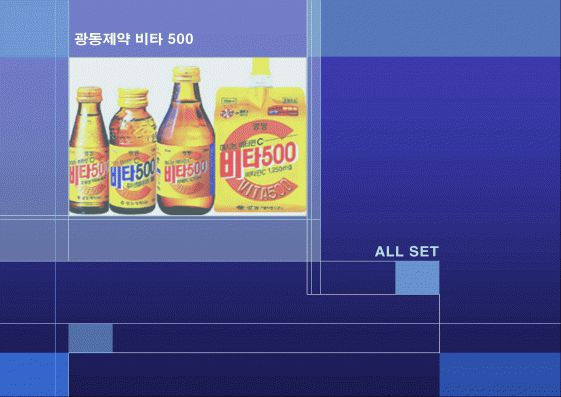 광동제약 비타500 마케팅 전략 발표