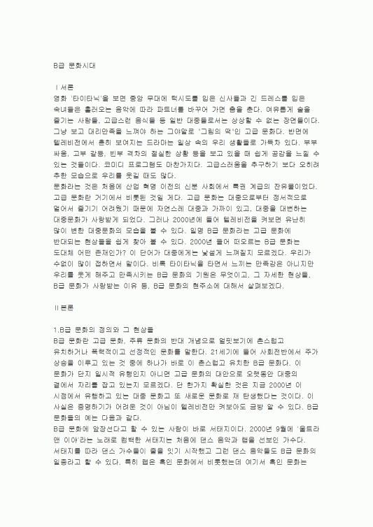 B급 문화시대 레포트 자료