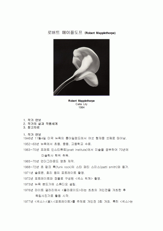로버트 메이플도프