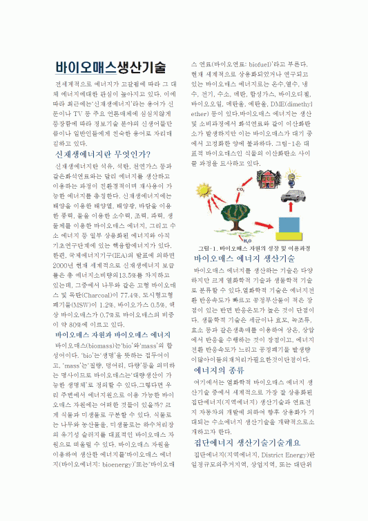 바이오매스 레포트 자료