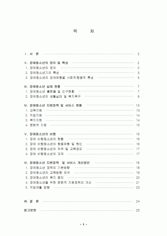 장애청소년 레포트 자료
