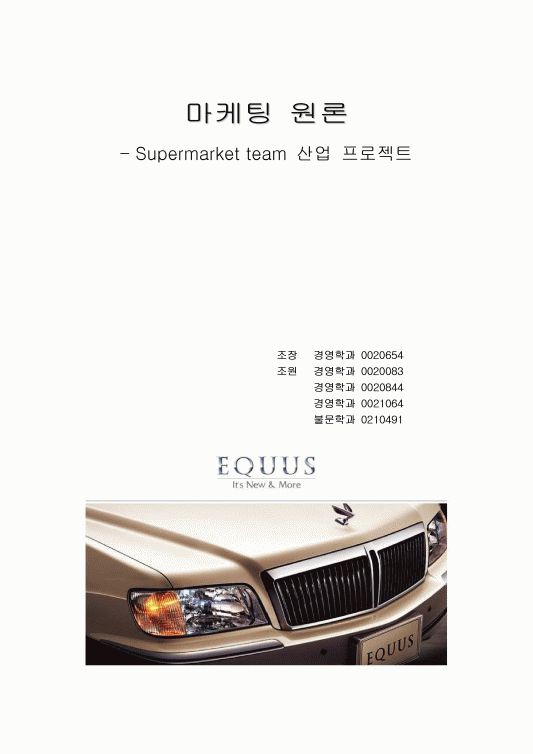 현대자동차 에쿠스 마케팅전략 분석