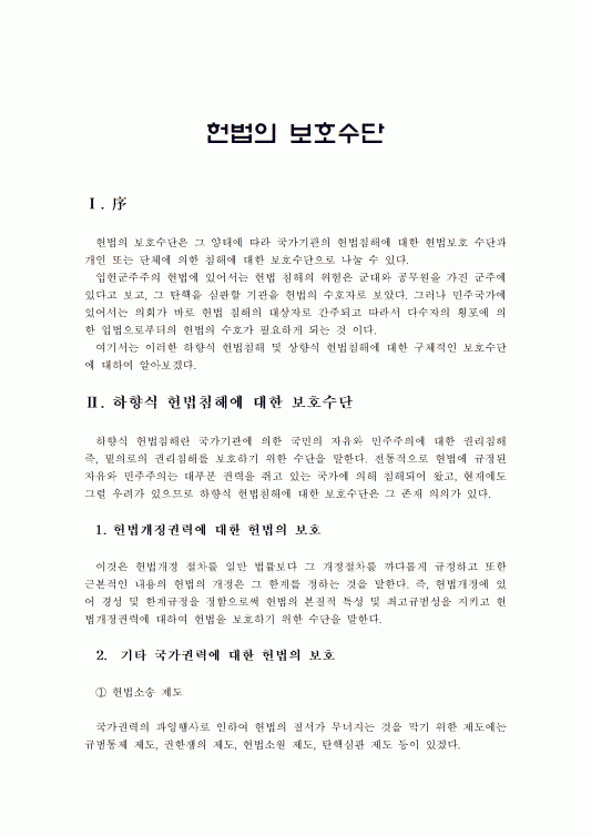 헌법의 보호수단