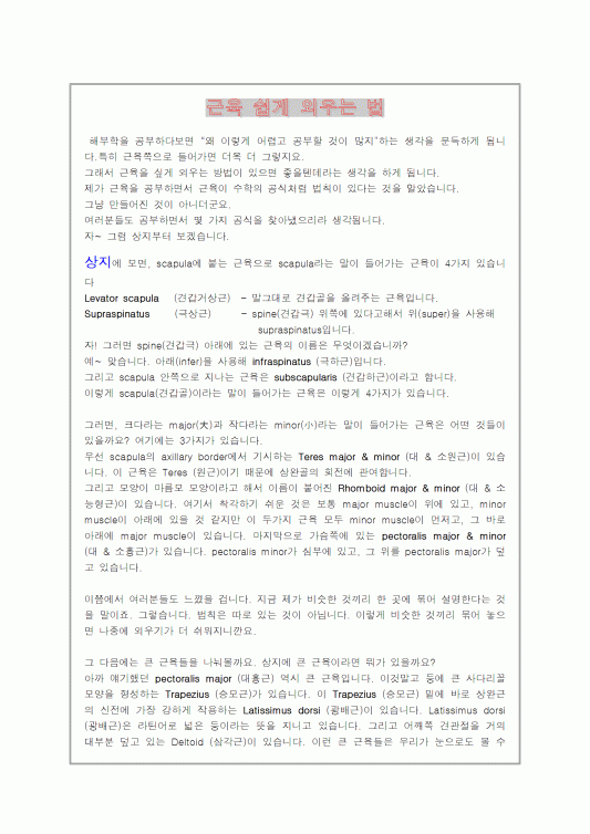 해부학 근육명칭외우기