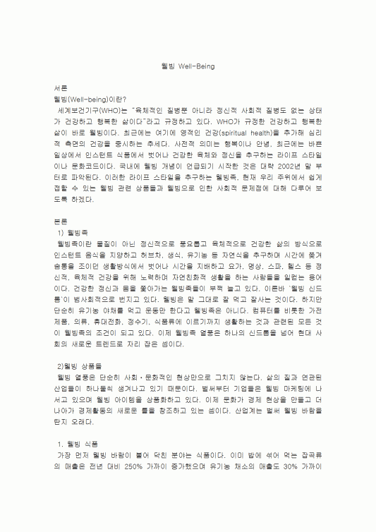 웰빙 Well-Being 레포트 자료