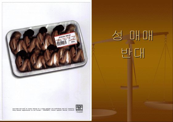 성매매에 관한 조사