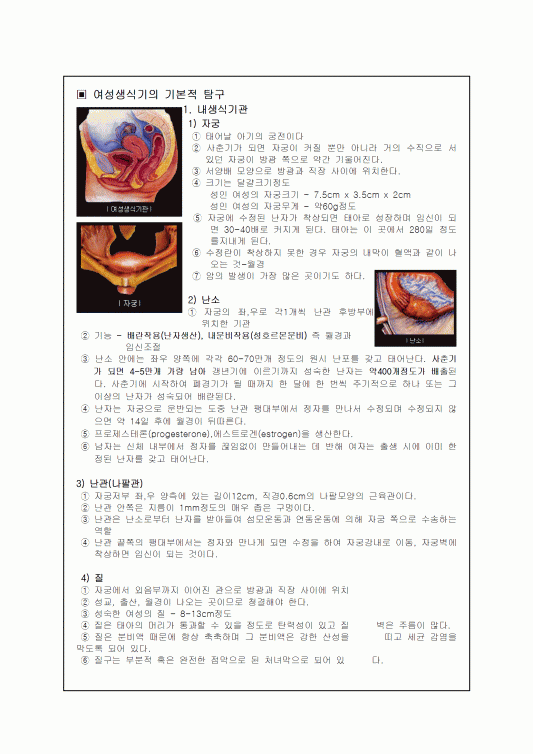 자궁탈출증 case 65세여성 (문헌고찰 : 자궁탈출증, 직장류, 요실금, 자궁적출술)