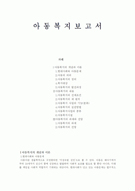 아동복지 보고서